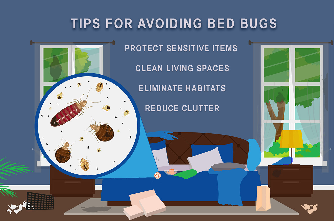 Tips for Choosing Bed Bug Treatment Options