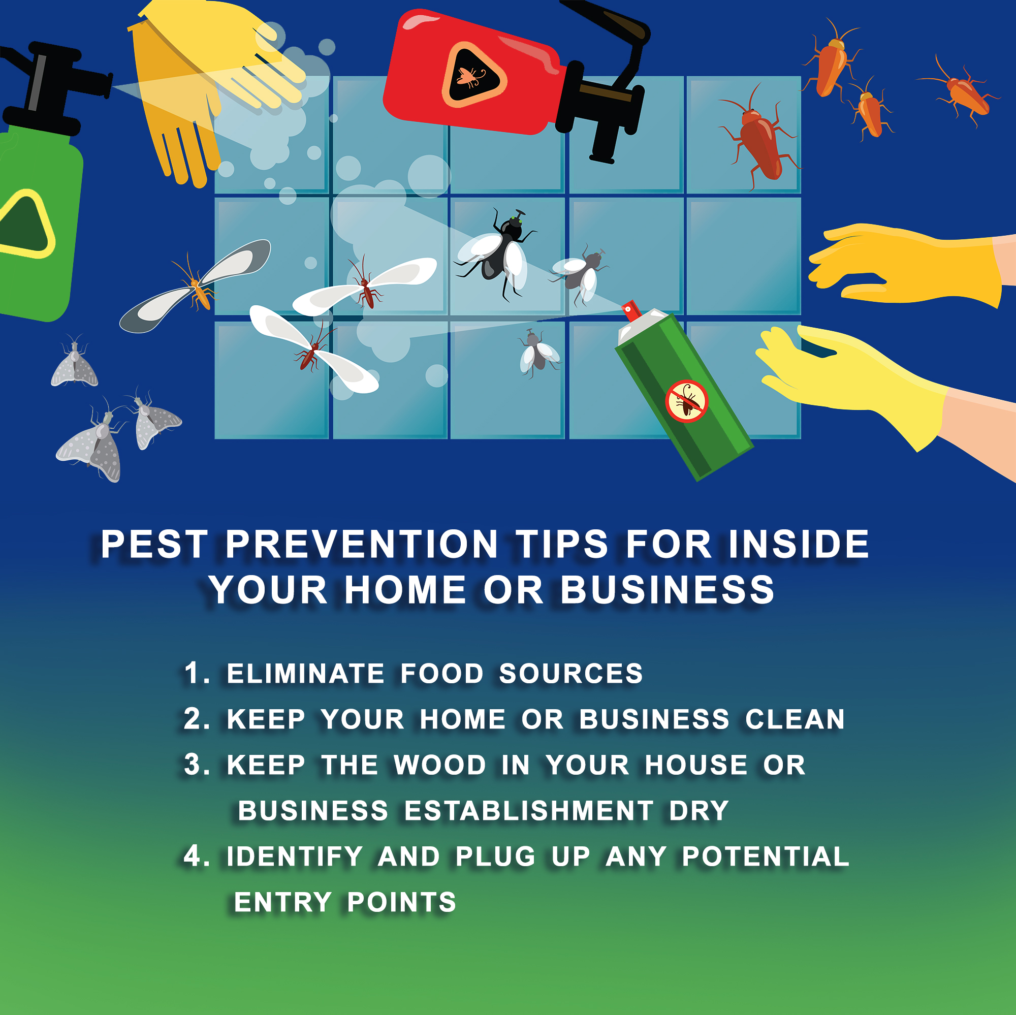 Pest Prevention Tips for Inside Your Home or Business